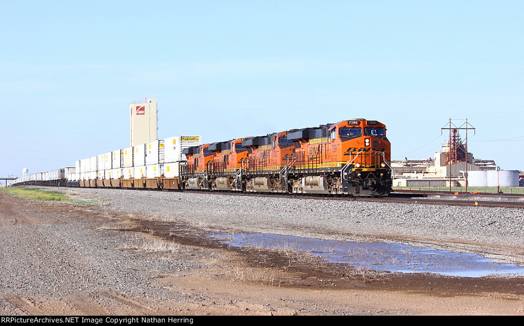 Elephant style Westbound Z